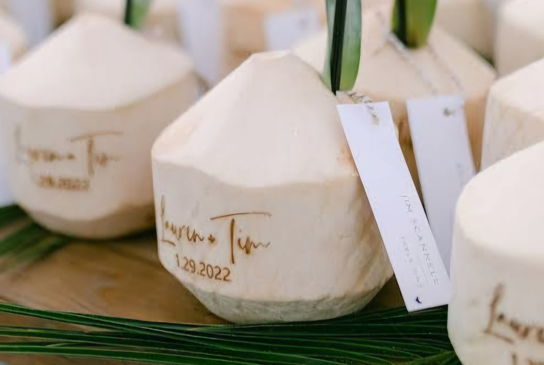 The Nauti Coconut Store | Coconut Apparel & Accessories